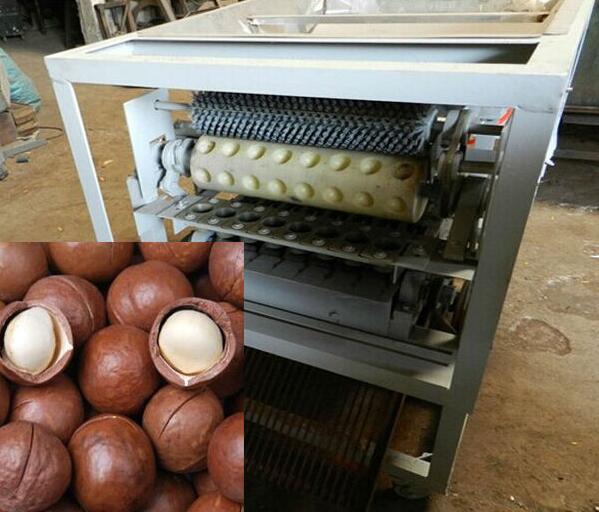 Why to Choose Kingston Macadamia Cutter? Top Picks