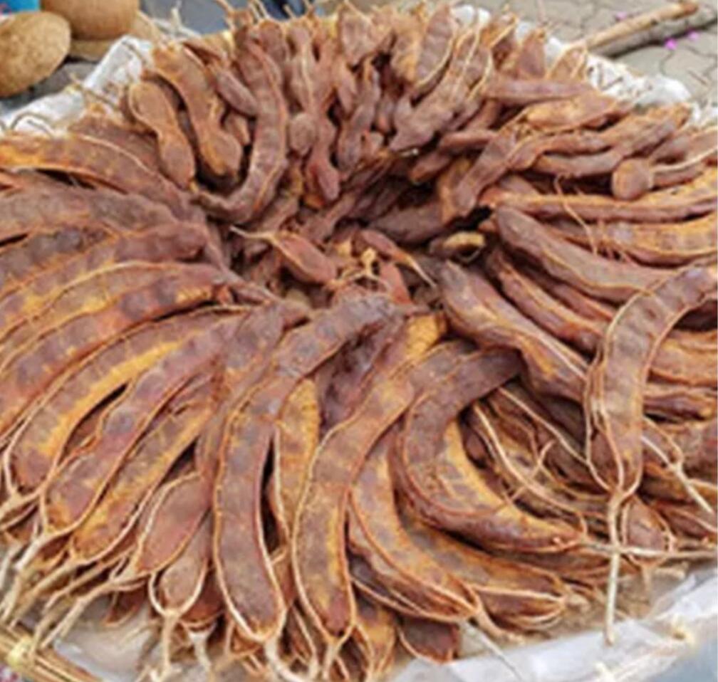 Tamarind pulp extraction machine - Kingston Food Processing Machinery ...